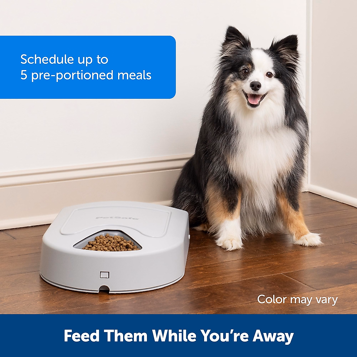 PetSafe 5 Meal Dog Food Dispenser - Storage for Up to 5 Cups of Kibble or Treats of Any Size - Tray Automatically Rotates According to User Programming to Deliver Pre-Planned Meals at Precise Times