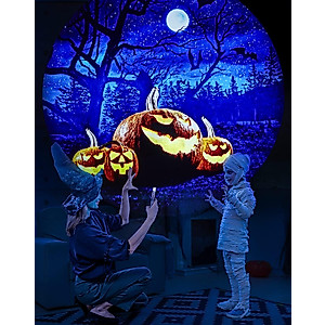 LaView Halloween & Thanksgiving Disc Set Galaxy Projector Suitable for Thanksgiving Gift for Family and Friends,Night Light for Kids Adults Baby Nursery and Bedroom Decoration
