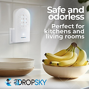 Dropsky Indoor Flying Insect Trap - Plug-in Bug Light Trap for Fruit Flies, Gnats and Houseflies - Odorless and Mess Free (2 Traps + 2 Glue Cards)