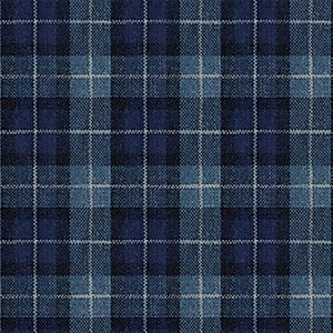 Michael Miller Lumber Check DCX9302 Navy