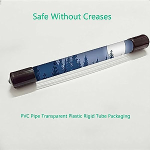 Multicolor Window Film Privacy Window Film Frosted Glass Film No Glue Static Cling Glass Film Window Sticker for Bathroom Bedroom Living Room Forest Mythical Creature Design 27.6Wx47.2L-inch x2 Pcs