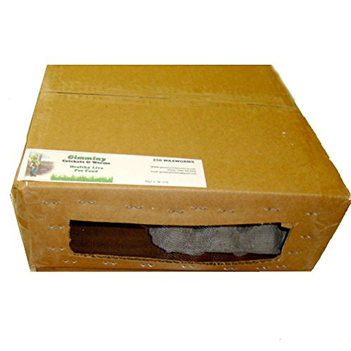 250ct Live Superworms, Feed Reptile, Birds, Fishing Best Bait