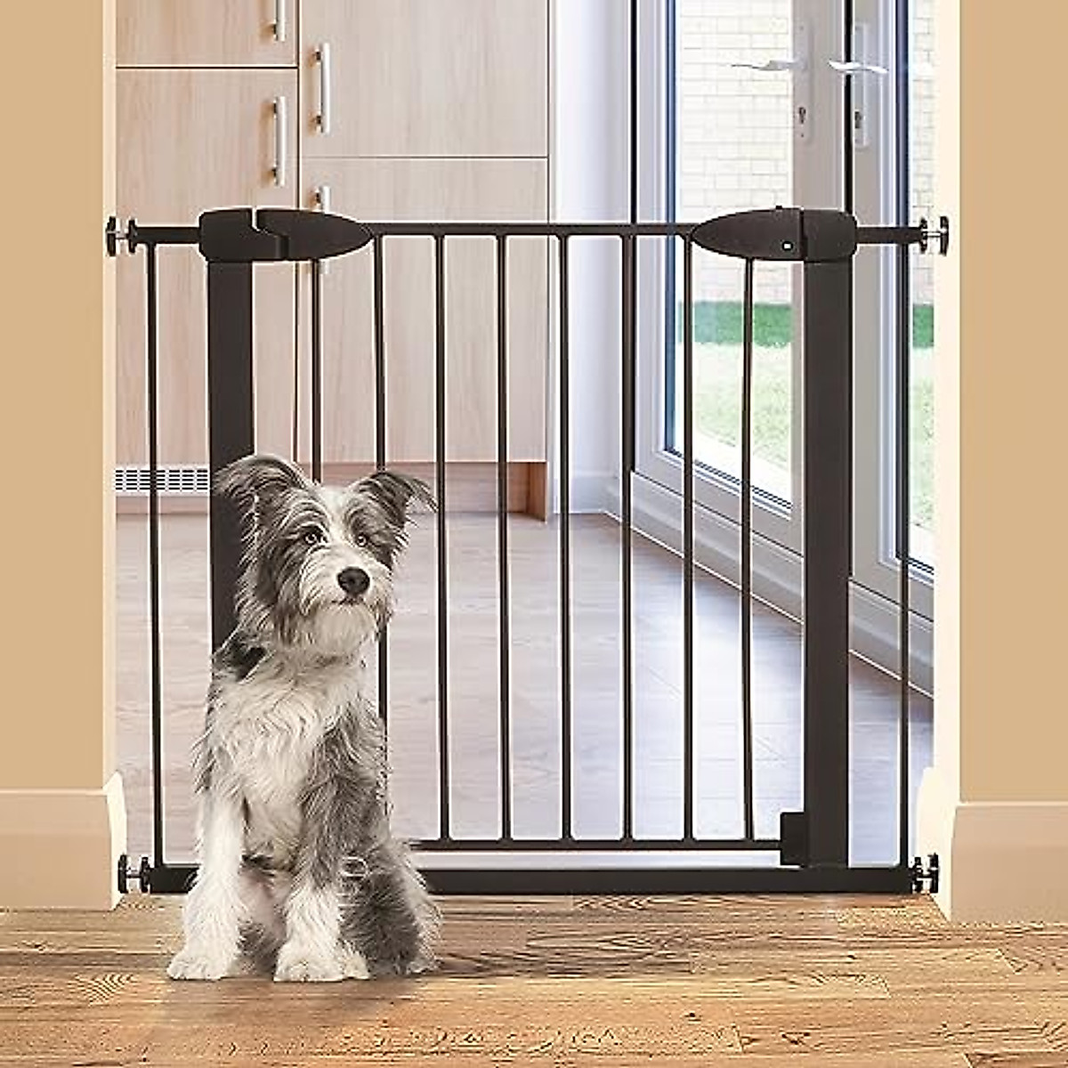 Dreambaby Boston Magnetic Auto Close Security Gate (29.5-38 inches, Black)