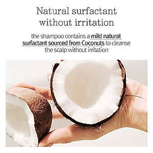 Pyunkang Yul Low pH Scalp Shampoo with Natural Surfactant & Acorus Calamus Root for Perfect Cleansing & Healthier Scalp, Moisturizing, Soothing & Calming, Therapeutic for Damaged Hair 16.9 Fl.oz