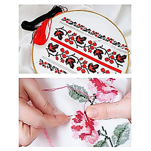 Caydo 313 PCS Box Embroidery Kit with Organizer, 216 Color Threads, 4 Aida Cloth, 6 Embroidery Hoops, Cross Stitch Tools and Instructions for Adults Beginners Christmas Gift