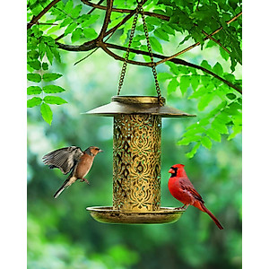 SWEETFULL Solar Bird Feeder for Outdoors Hanging, Metal Wild Bird Feeder for Cardinals Solar Garden Lantern with S Hook as Gift Ideas for Bird Lovers (2LBs Heavy Duty Weather Resistance birdfeeders)