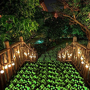 Ebliiny 500 Pcs Glow in The Dark Garden Pebbles, Gardening Luminous Glow Stones Outdoor Decor Glowing Water Fish Tank Gravel (Green)