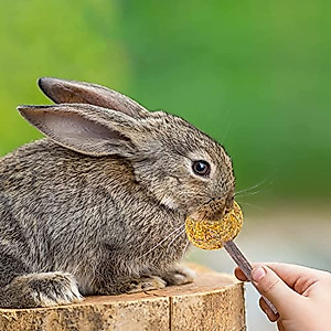 SOYANGNEK Hamster Chew Toys 12PCS Bunny Toys for Rabbits Guinea Pig Toys Natural Timothy Hay Sticks Chinchilla Toys for Teeth Handmade Bunny Treats Gift Apple Wood Sticks Hamster Rat Gerbil