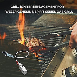 Apromise Grill Igniters - Grill Igniter Replacement for Weber Genesis Platinum Ⅰ&Ⅱ, Genesis Silver/Gold Pre-2002 Gas Grill Models