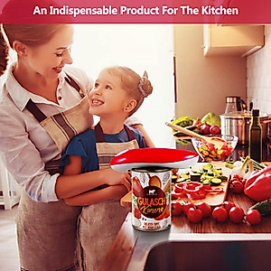 FlyBanboo Electric Can Opener, Can Opener Smooth Edge,Stainless Steel a Simple Push Automatic Electric Can,Best Kitchen Gadget for Arthritis