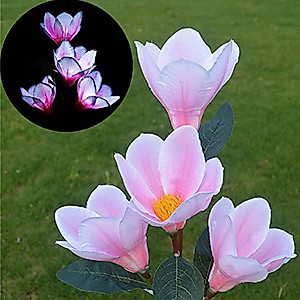 LIZHOUMIL Outdoor Solar Flower Stake Lights,Waterproof Solar Magnolia Flower Garden Lights,LED Solar Landscape Light,Ground Plug Lamp for Garden Lawn Path Yard Patio Driveway Backyard Decoration Pink