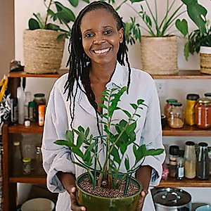 HiGift 6 Pack Plant Support Plant Stakes, Metal Garden Peony Support Cages, Outdoor Plant Support Ring Cage,Large Plant Support Stakes for Tomato,Rose,Flowers Vine,Indoor Plants (10" W x 15.8" H)