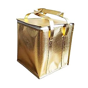 Didiseaon 2pcs Baking Tote Backpack Coolers Ice Pack for Cooler Bag Zippered Tote Take Food Bag Meal Delivery Bag Heated Delivery Cake Pizza Packaging Bag Take-out Food Bag Thermal Bag