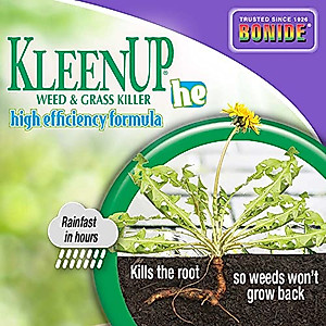 Bonide KleenUP He High Efficiency Weed & Grass Killer Concentrate, 32 oz