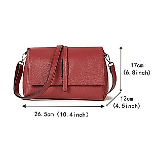 SHESTORY Women Genuine Leather Shoulder Bags Crossbody Purses for Lady Handbag (Wine)