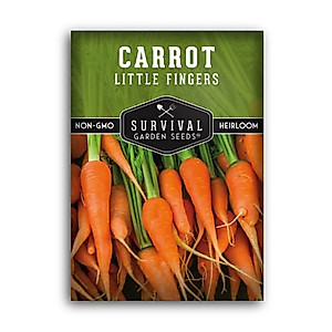Survival Garden Seeds - Little Fingers Carrot Seed for Planting - Packet with Instructions to Plant and Grow Delicious Baby Carrots in Your Home Vegetable Garden - Non-GMO Heirloom Variety - 1 Pack