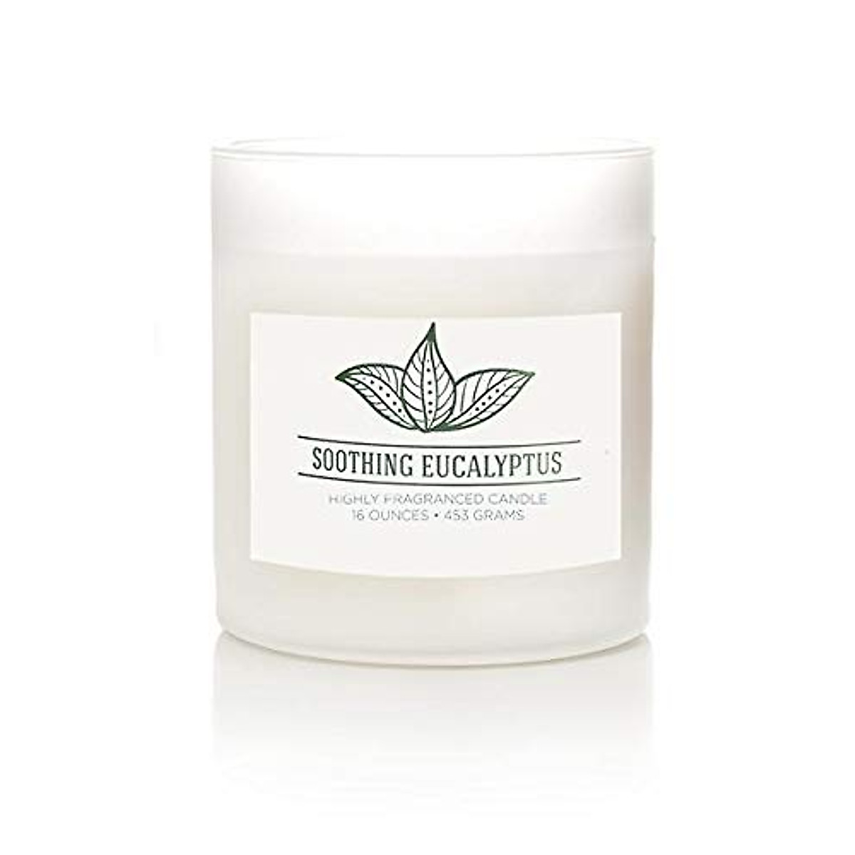 Colonial Candle Soothing Eucalyptus Scented Jar Candle, Wellness Collection, 2 Wick, 16 oz - Up to 120 Hours Burn