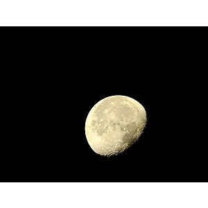 Nikon Coolpix P900 Super Zoom Camera - New