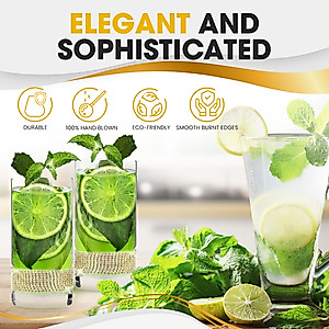 BERKWARE Luxurious Highball Glasses - Elegant Cocktail Glasses & Tom Collins Glasses with Rhinestone Design, 16oz (Set of 2)