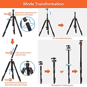 Polarduck Camera Tripod Monopod Phone Stand: 65" Professional DSLR Tripod for iPhone with Phone Mount & Travel Bag Compatible with Canon Nikon Sony Cameras Cell Phone Projector Webcam | 22lbs Load