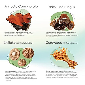 Mycogen for Dogs - Vitamins with 8 Types of Mushrooms - Support Immune System - 60 Soft Chews