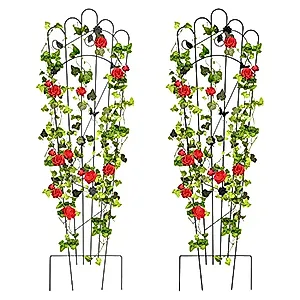 XYADX Meta Detachable Trapezoidal Garden Trellis for Climbing Plants 60 Inches Sturdy Black Patio Plant Support for Indoor Plants Trellis for Rose, Vegetable Flower, Backyard Pack of 2 - Black