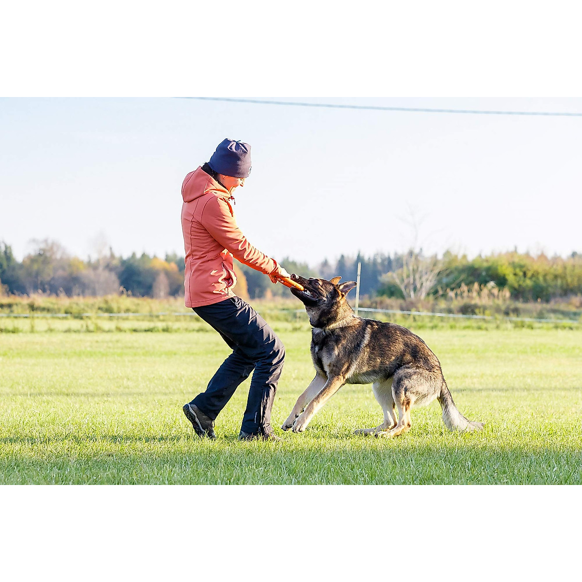 PlayfulSpirit Durable Natural Rubber Ring - Great Tug of War Dog Toy, Fun for Throw, Chase and Fetch Games, Exercise and Dog Training Toy for Medium to Large Breed Puppies and Adult Dogs (L, Orange)