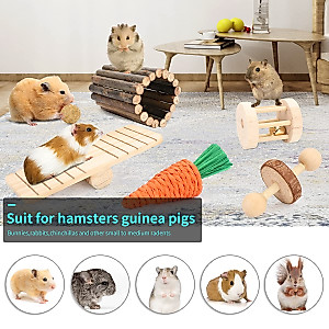YIXUND Hamster Cage Accessories, 12 Different Chew Toys for Guinea Pig, Chinchillas, Gerbils, Mice, Rats, Mouse, Rabbit, Bunny Hideout Seesaw, Natural Molar Tools