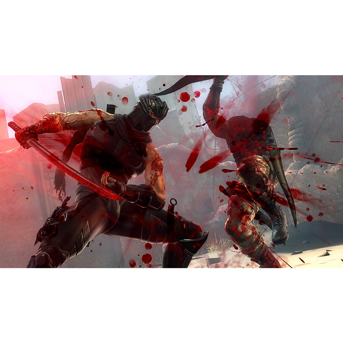 NINJA GAIDEN:マスターコレクション 【CEROレーティング「Z」】 (初回生産限定特典(特製リバーシブルジャケット仕様) 同梱)