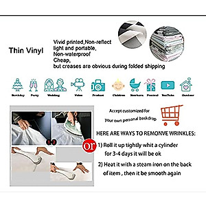 SENDY 7x5ft Death to My Twenties Backdrop RIP to My 20s Birthday Photography Background Burgundy Rose Gothic Skull Tombstone Thirties Birthday Party Decorations Banner Photo Studio Props