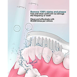 Dr. Ryan Electric Sonic Toothbrush Rechargeable Battery 2-Pack