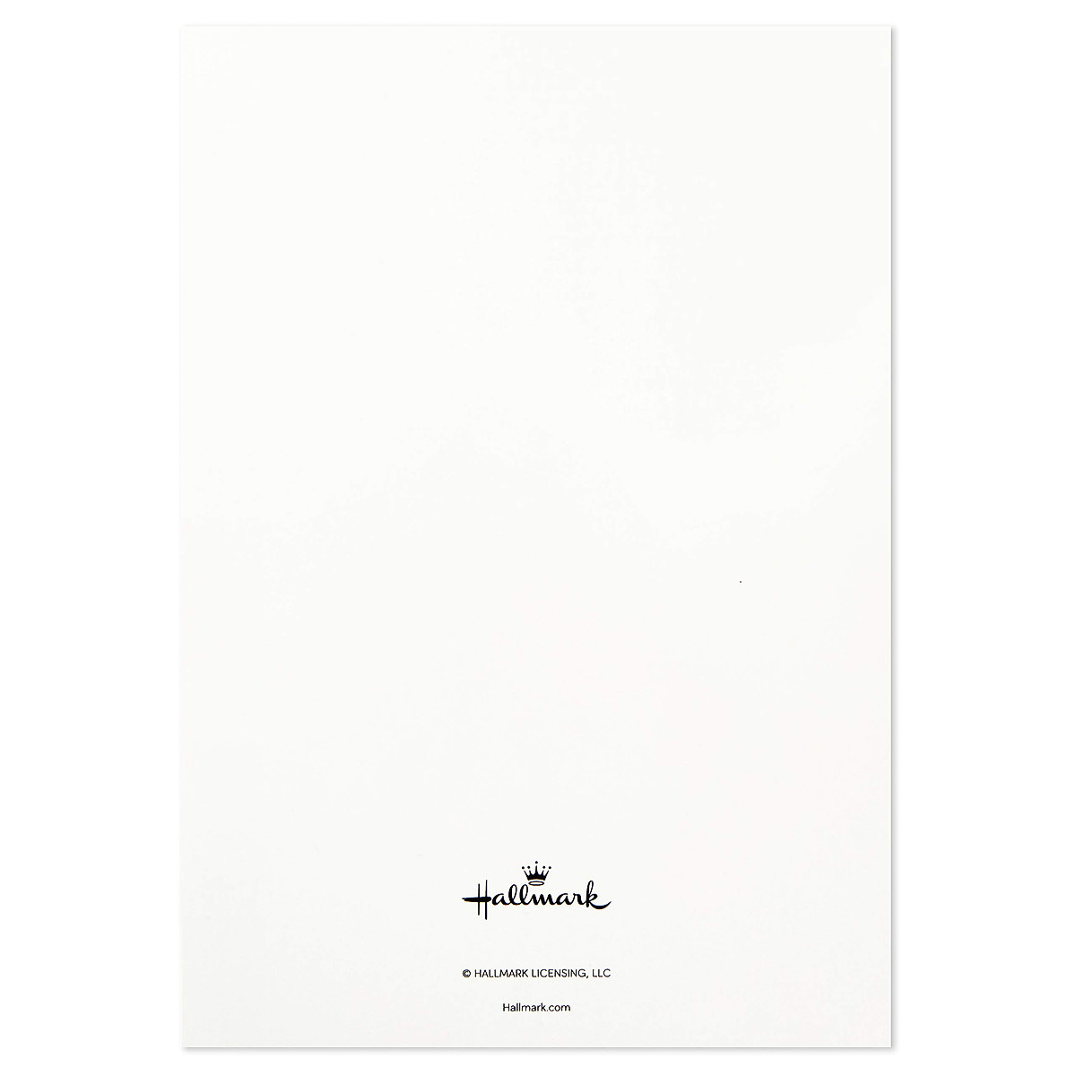 Hallmark Assorted Sympathy Cards (Flowers, 12 Cards and Envelopes)