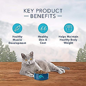 Blue Buffalo Wilderness High Protein, Natural Adult Indoor Dry Cat Food, Chicken 11-lb
