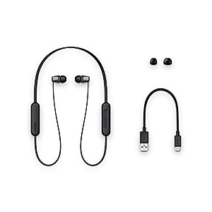 Sony WI-C310 Wireless in-Ear Headset/Headphones with Mic for Phone Call, Blue, Model Number: WI-C310/L