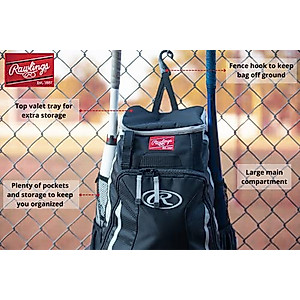 Rawlings R500 Series Baseball/Softball Backpack, Scarlet, 17.5˝ H x 15.5˝ W x 8.5˝ D