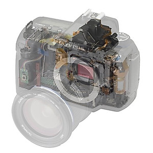 Olympus E30 12.3MP Digital SLR with Image Stabilization (Body Only)