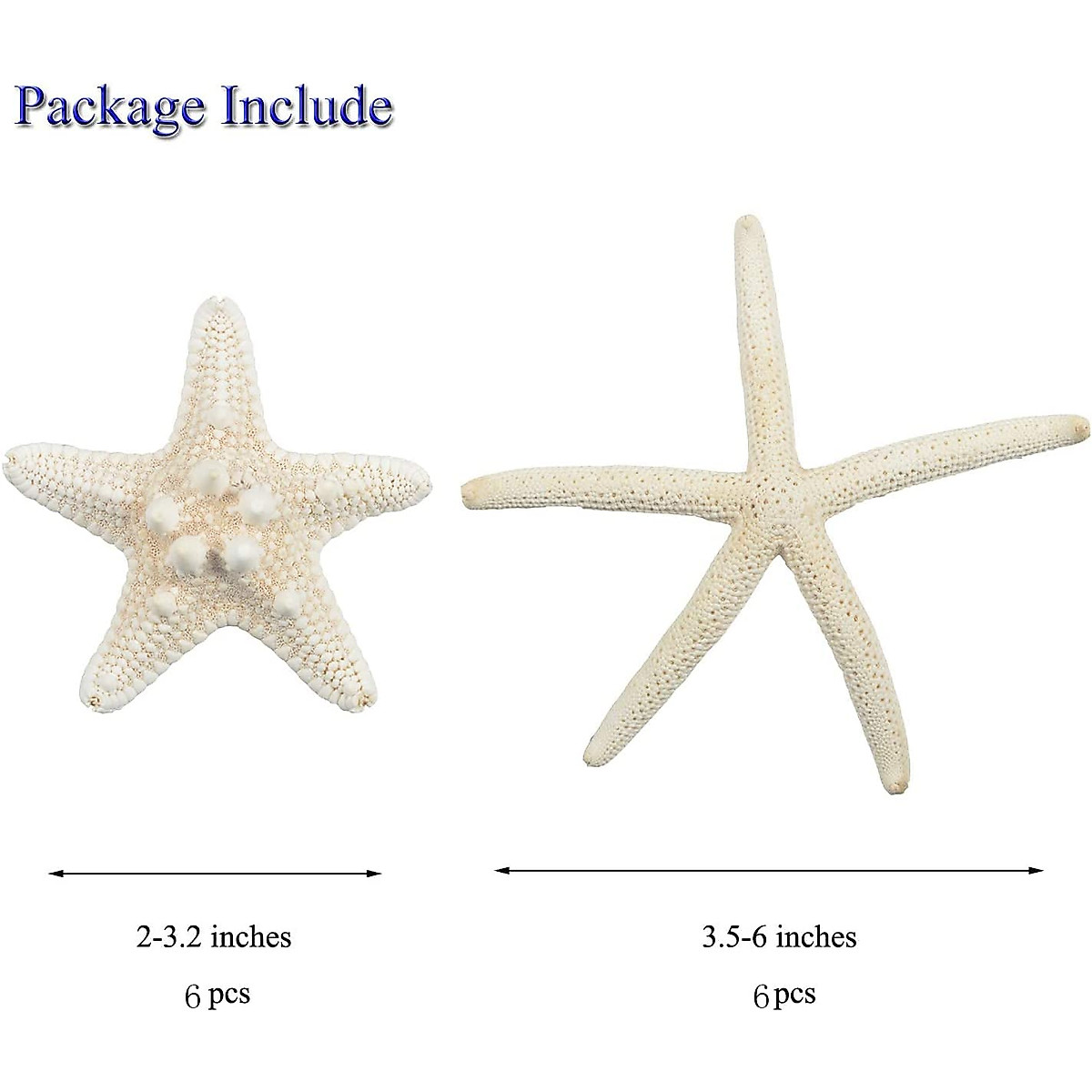 Jangostor 12 PCS Starfish 2-6 Inch Mixed Starfish Natural Seashells Starfish Star Fish Shells Decorations Perfect for Wedding Decor Beach Theme Party, Home Decorations, DIY Crafts, Fish Tank