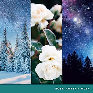 Yankee Candle Signature Scented Candle | Winter Night Stars Large Tumbler Candle with Double Wicks | Soy Wax Blend Long Burning Candle | Perfect Gifts for Women