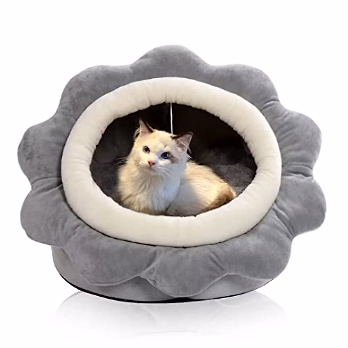 Cat Beds for Indoor Cats - Small Cat Bed with Anti-Slip Bottom, Sunflower-Shaped Cat/Dog Cave with Hanging Toy, Puppy Bed with Removable Cotton Pad, Super Soft Calming, Multiple Sizes(Grey L)