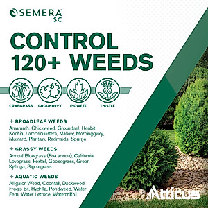 Semera SC Herbicide Concentrate (8 oz) by Atticus (Compare to SureGuard) – Flumioxazin Weed Killer – Season Long Lawn and Aquatic Weed Control