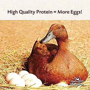 Manna Pro Duck Layer Pellets, 8 Pounds (Pack of 2)