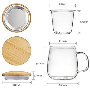 Lezero Glass Tea Infuser Cups with Strainer and Lid, 15 ounce Heat Resistance Borosilicate Glass Teacups for Blooming Tea & Loose Leaf Tea, Lead-free, Microwave & Dishwasher Safe - For Tea Lovers