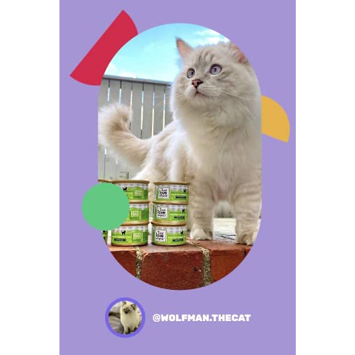 "I and love and you" Naked Essentials Canned Wet Cat Food, Chicken Me Out Pâté, Chicken Recipe, Grain Free, Real Meat, No Fillers, 5.5 oz Cans, Pack of 12 Cans