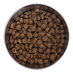 Health Extension Grain Free Chicken & Turkey Dry Dog Food (23.5 lb / 10.66 kg) - Whole Foods Ingredients Formula with a Blend of Turmeric & Antioxidants for All Life Stages Dogs