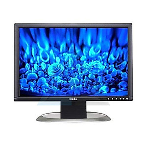 Dell 2005FPW 20.1" Widescreen Flat Panel LCD Monitor