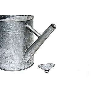 Metal Watering Can, One Gallon Watering Cans Stainless Steel Handle for Outdoor Indoor Garden Plants Watering (1 Gallon Silvers)