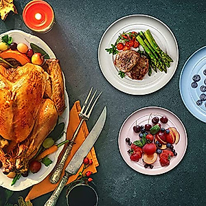 SHECIPIN 12 PACK 6 Inches Lightweight Mini Wheat Straw Plates,Reusable Plate Set Dishwasher & Microwave Safe,Unbreakable Deep Dinner Plates, Plastic Plates Reusable,They are easy to clean BPA free