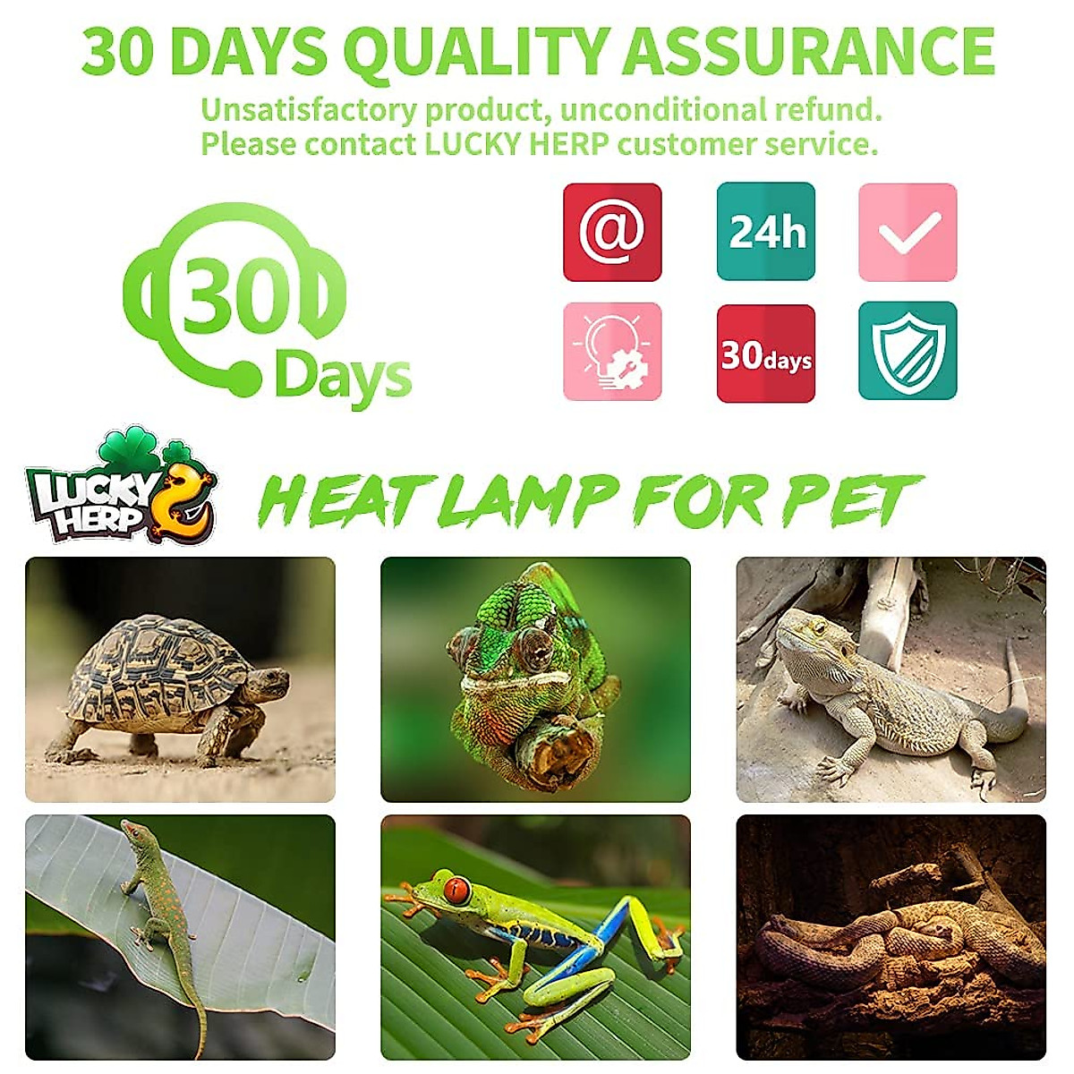 LUCKY HERP 4 Pack 75W Reptile Heat Lamp Bulb (2nd Gen), Amphibian Basking Light Bulb, Reptile Daylight Bulb for Turtle, Bearded Dragon, Lizard Heating Use