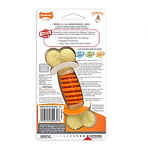 Nylabone PRO Action Dental Power Chew Durable Dog Toy Small - Up to 25 lbs.
