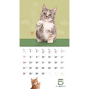 カレンダー2023 開運まねき猫 (月めくり/壁掛け) (ヤマケイカレンダー2023)